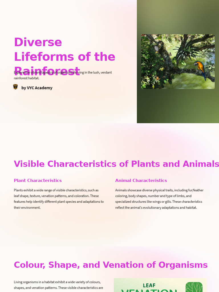 Diverse Lifeforms of The Rainforest | PDF