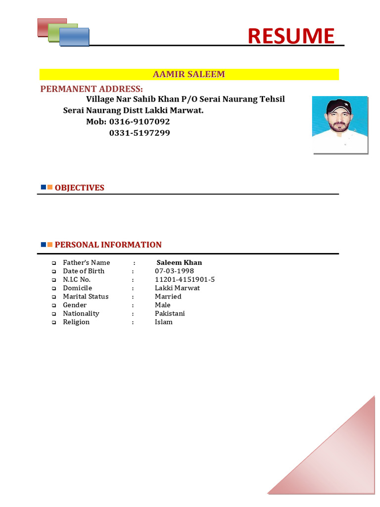 Aamir Saleem CV | PDF