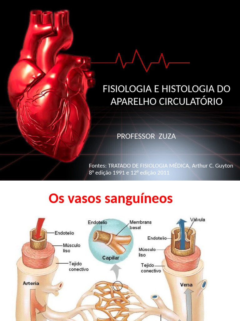 3-Sistema Circulatório - Ufu - 2023 | PDF
