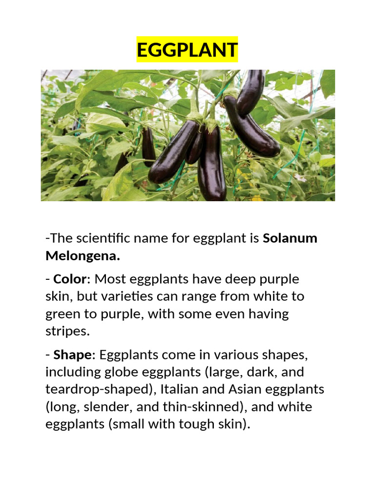eggplant characteristics | PDF