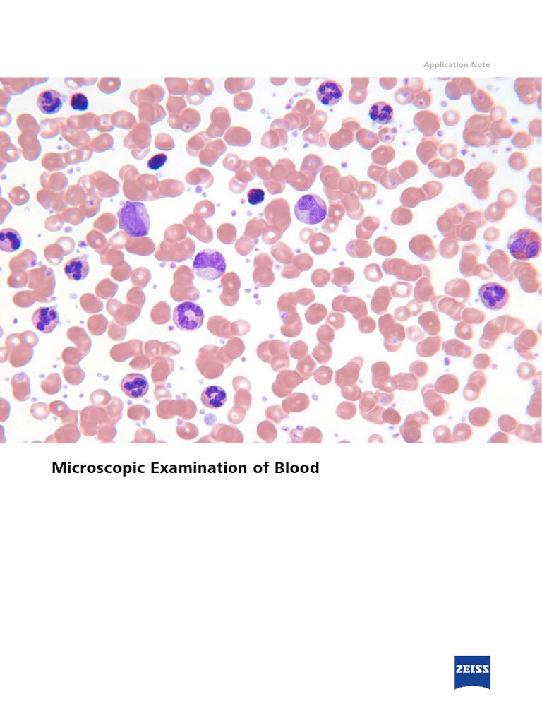 Zeiss Hematology Microscopic Examination of Blood | PDF