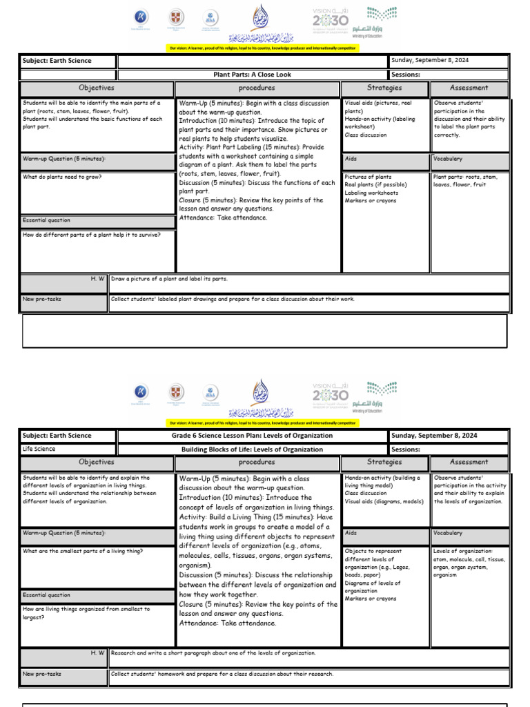 Lesson Plan 8 - 9 2024 | PDF