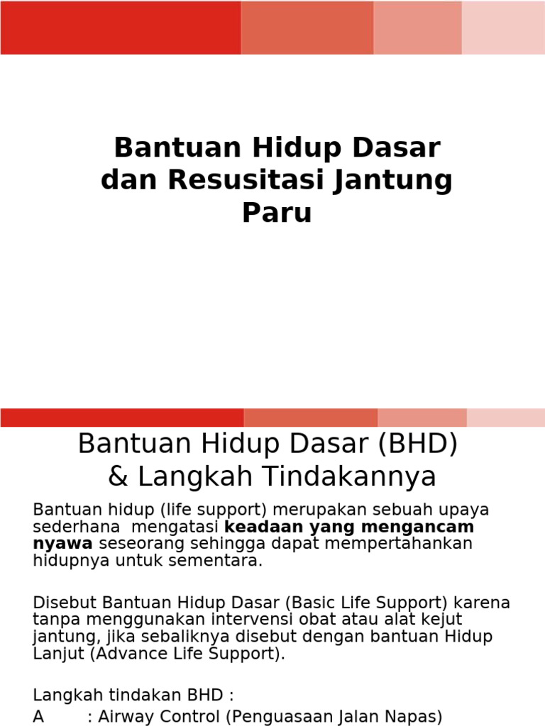 BHD RJP | PDF