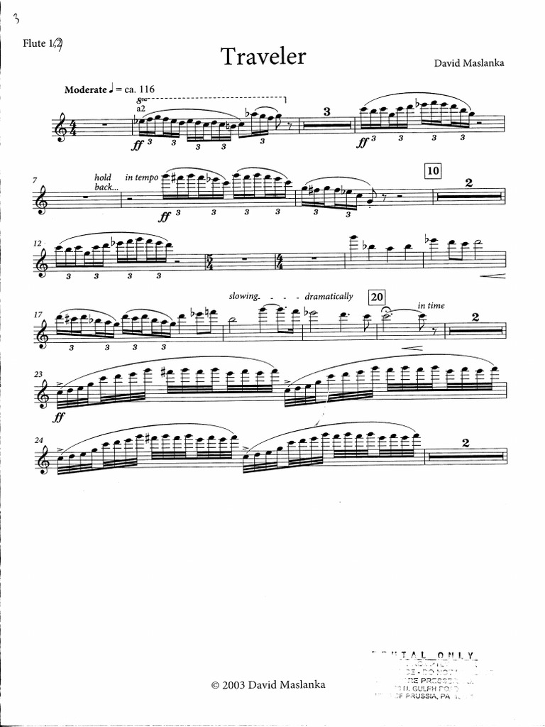 Flute 2 | PDF