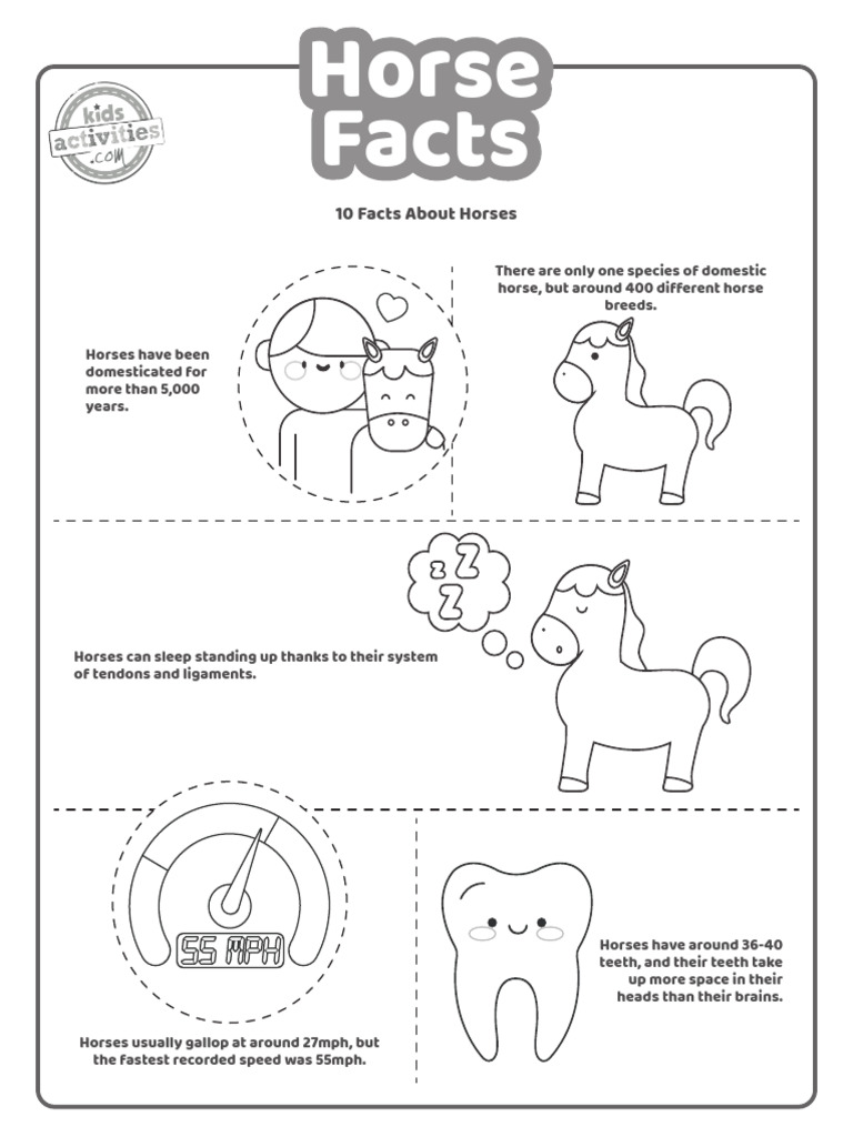 Horse Facts Coloring Pages | PDF