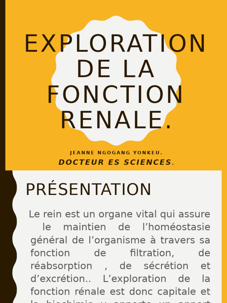 Exploration de La Fonction Renale Révisée | PDF