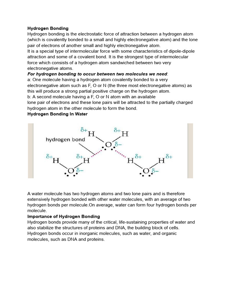 Importance of Hydrogen Bonding Explained | PDF