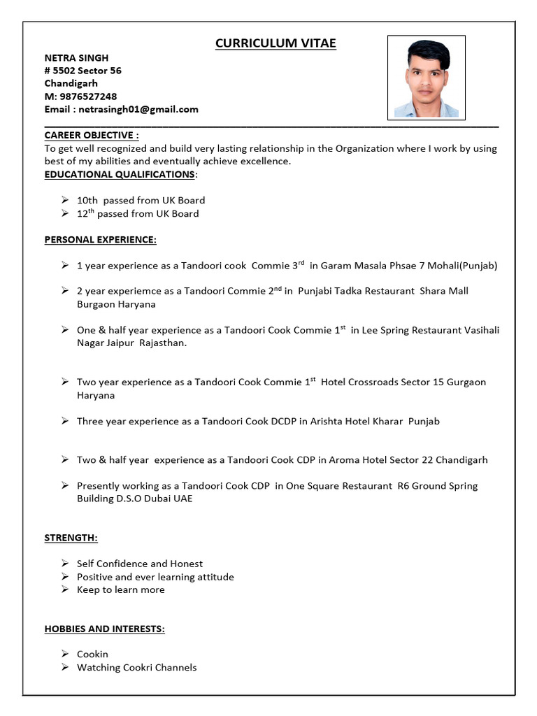 Netra Singh Resume PDF | PDF