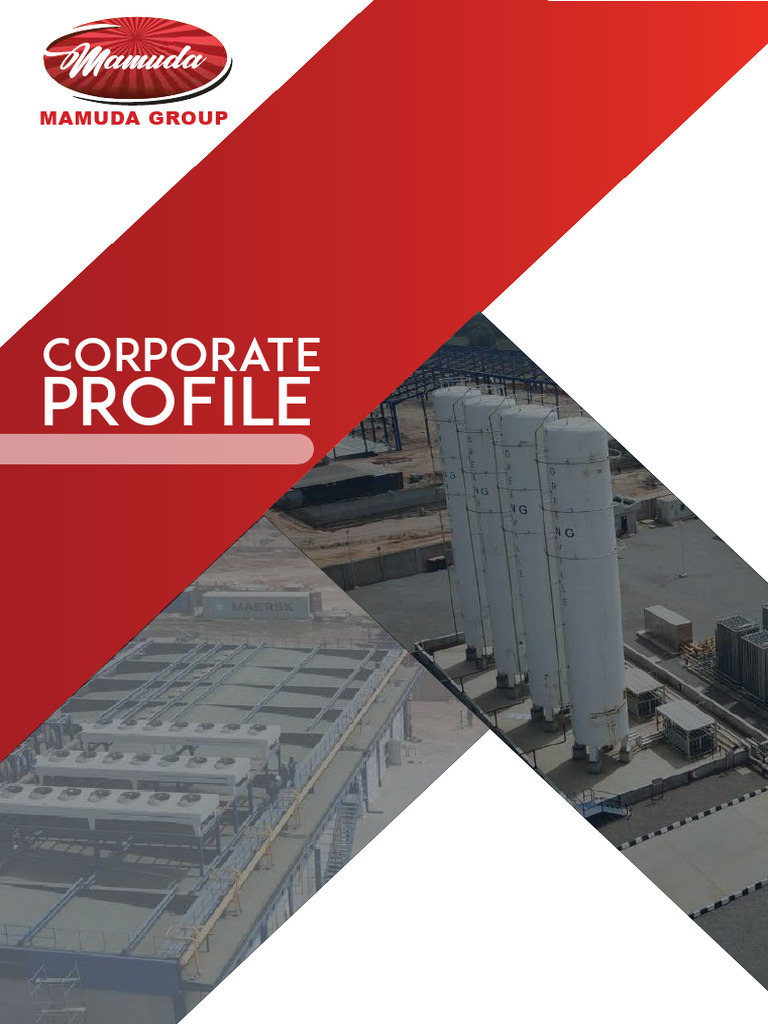 Mamuda Group Corporate Overview | PDF | Finance & Money Management
