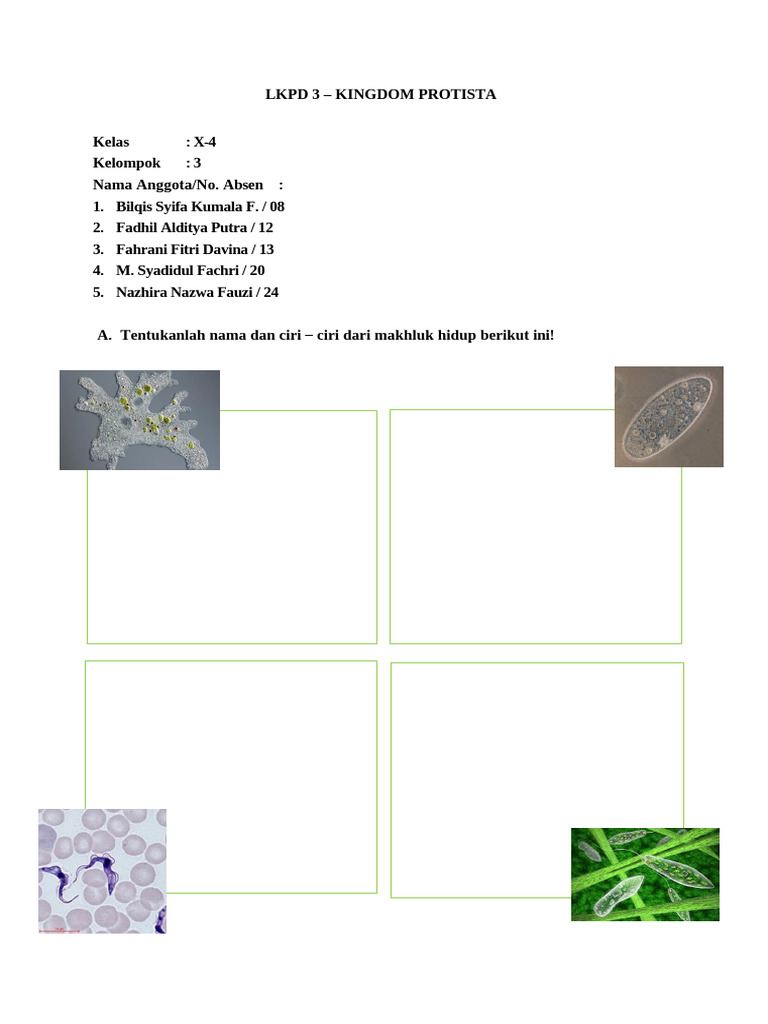 LKPD Kingdom Protista | PDF
