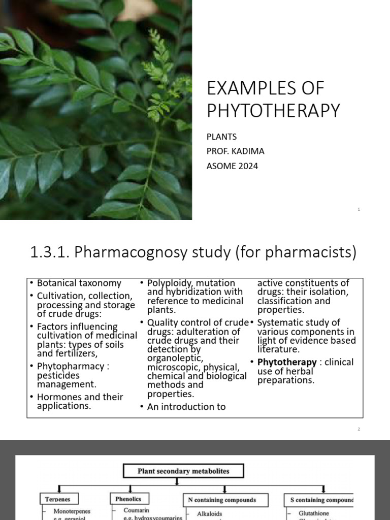 Part 7 Examples Plants Use | PDF