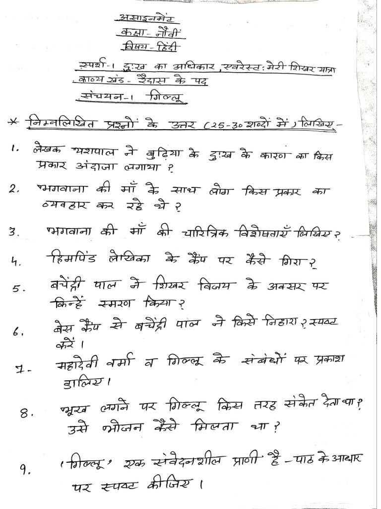 Hindi Assignment Class - IX | PDF