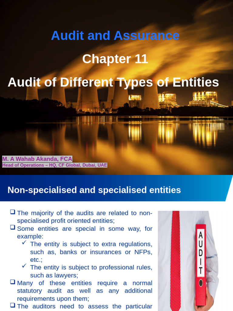Day 4_Chapter 11_Audit of Different Types of Entities | PDF