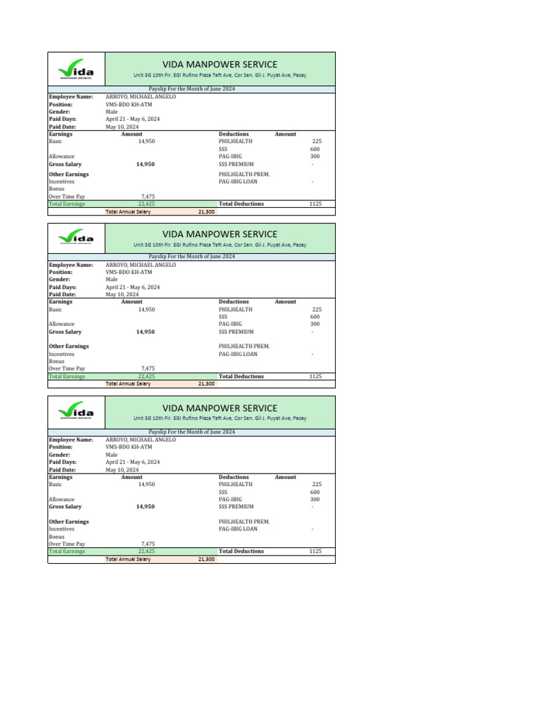 Payslip Excel Template | PDF