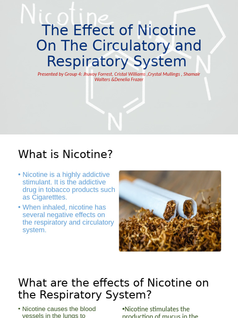 The Effect of Nicotine On The Circulatory and Respiratory System | PDF