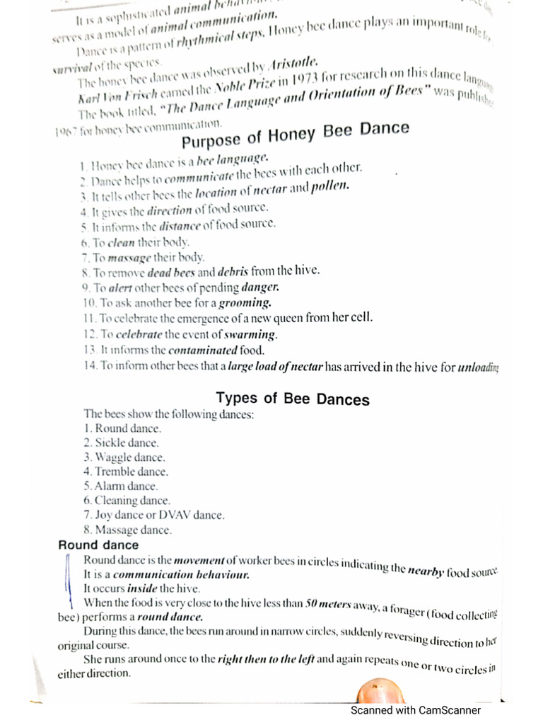 Bee dance Language (1) | PDF