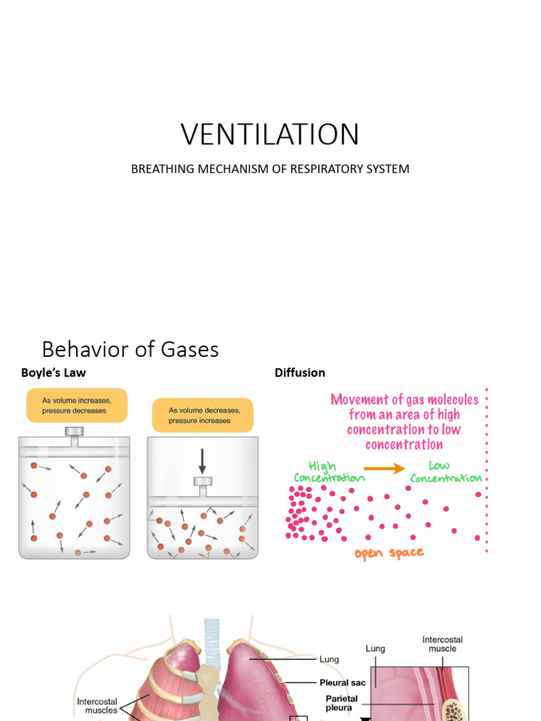 VENTILATION-PDF | PDF