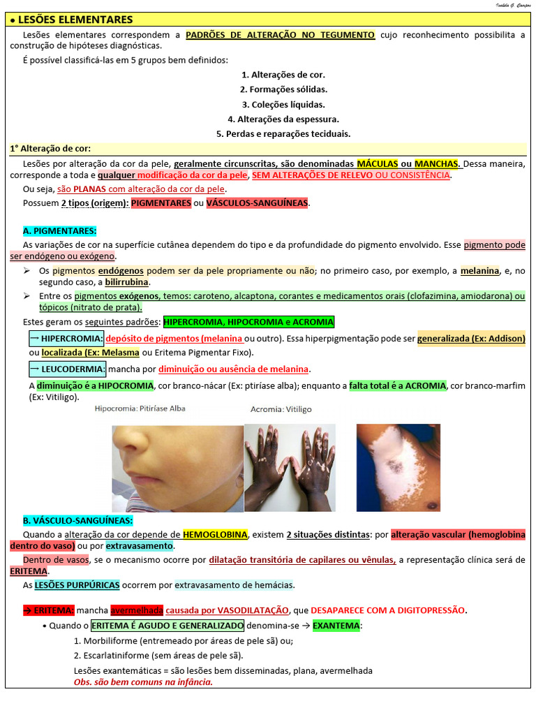 RESUMO SP-21 (Farmacodermias) | PDF