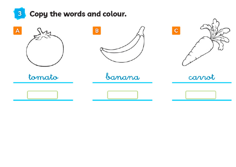Exercise | PDF