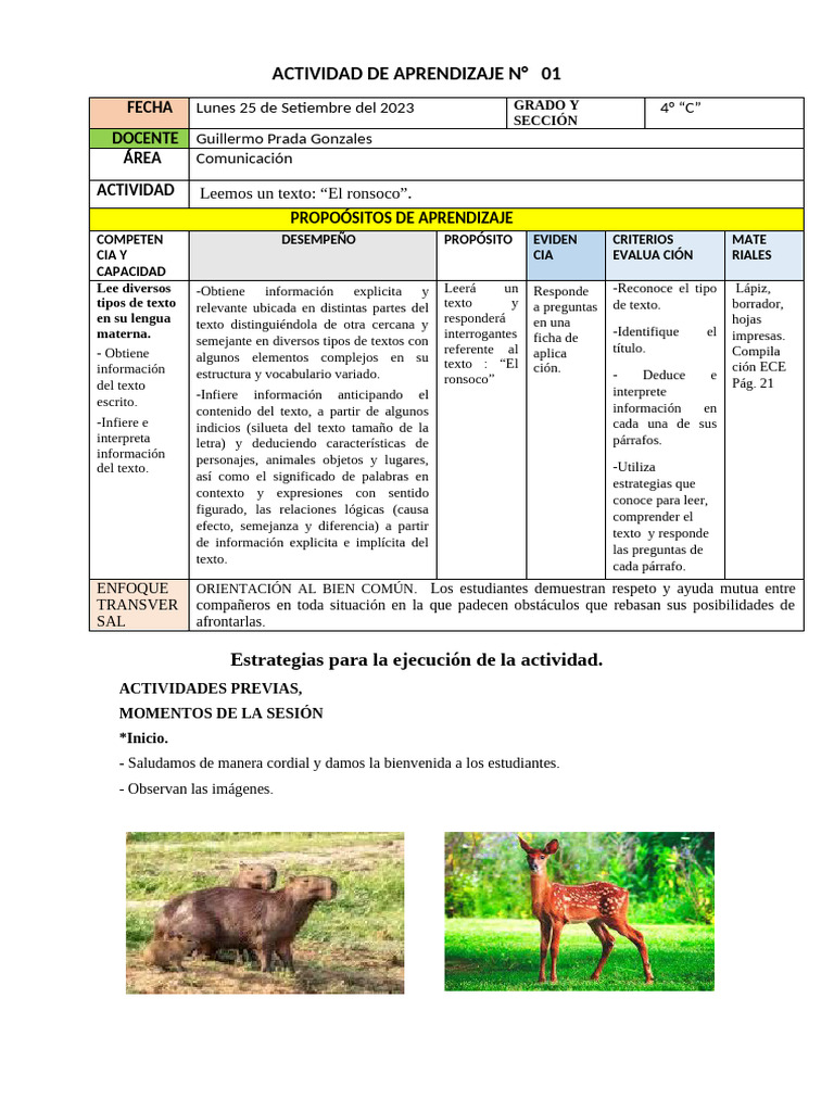 Com 25-09 Leemos Un Texto. El Ronsoco | PDF
