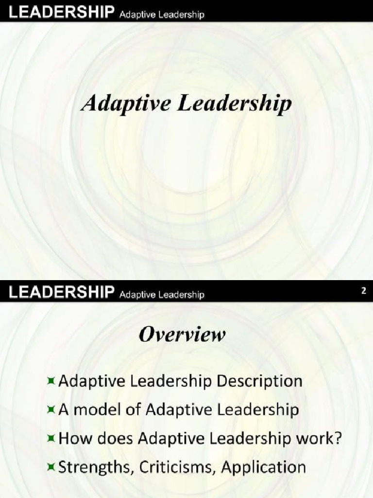 Adaptive Leadership | PDF