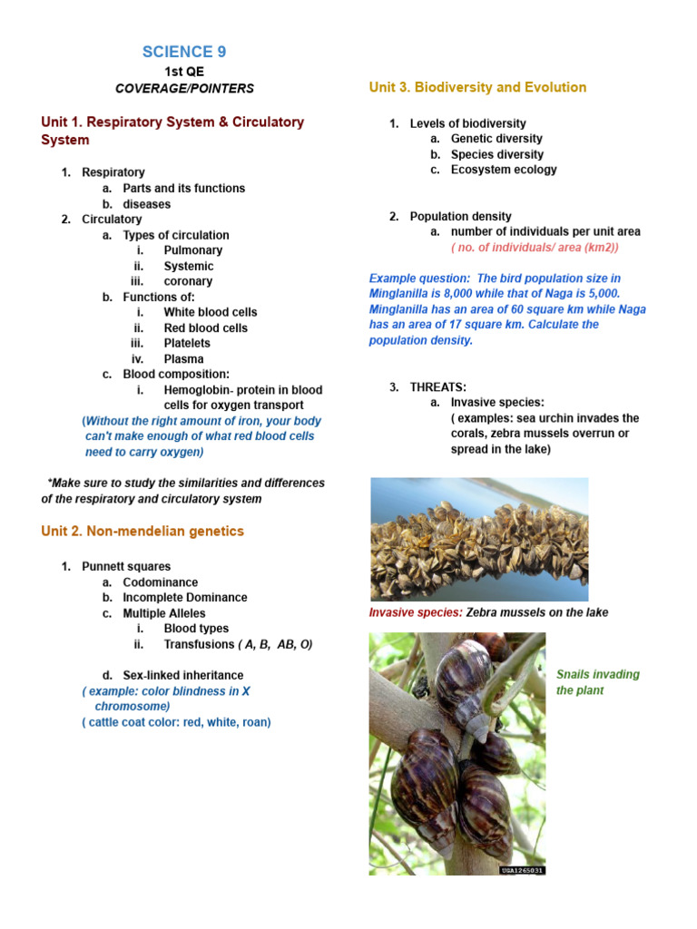 G9-1st QE-Pointers | PDF