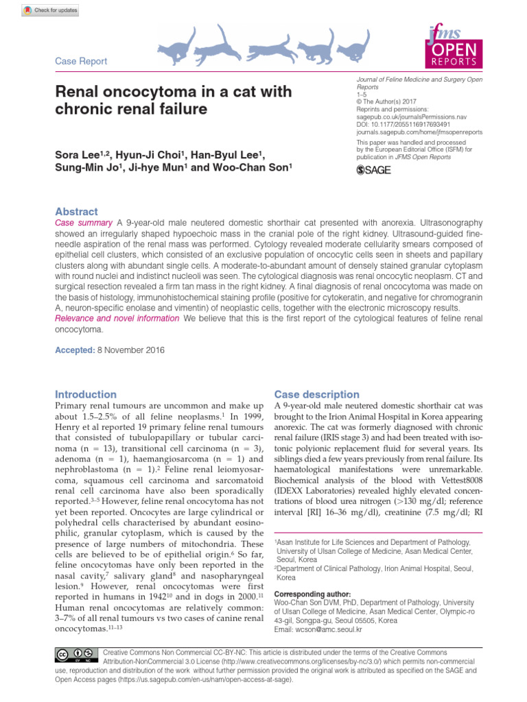 Lee Et Al 2017 Renal Oncocytoma in A Cat With Chronic Renal Failure | PDF