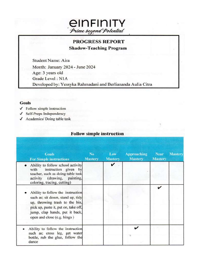 Aira Progress Report | PDF