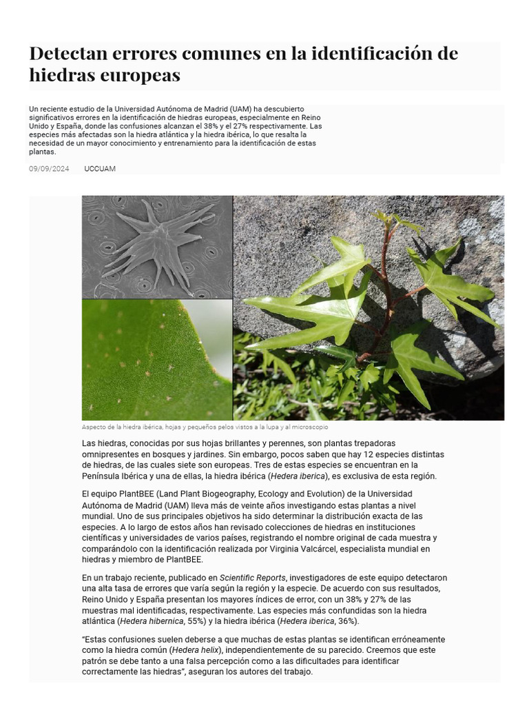 Detectan Errores Comunes En La Identificación De Hiedras Europeas Pdf Percepción Hogar Y 