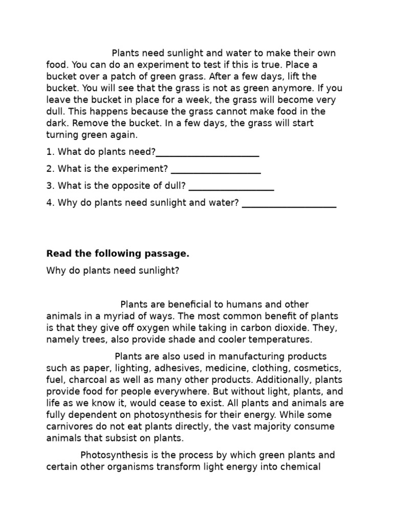 Plants Need Sunlight and Water To Make Their Own Food | PDF