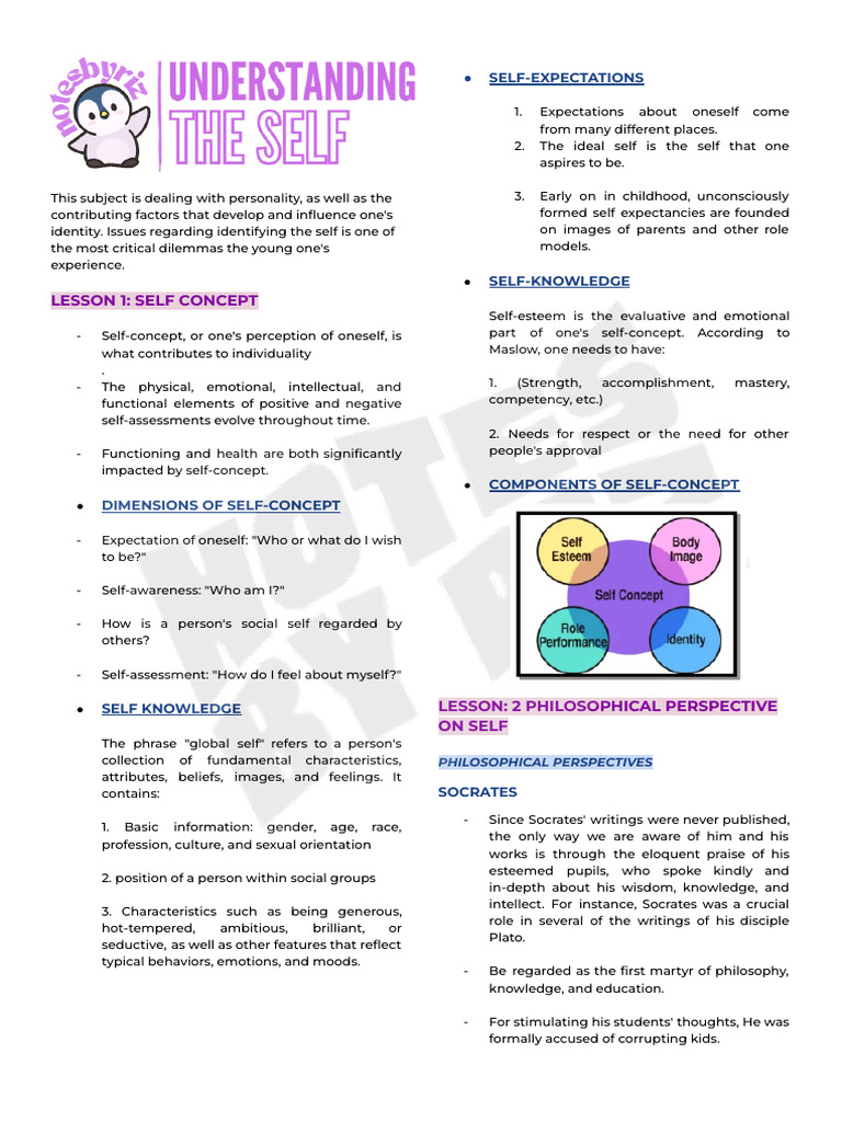 Understanding the Self? | PDF