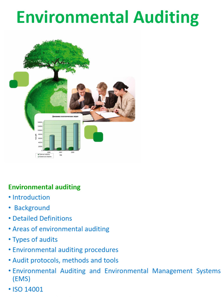 EIA Auditing Lecture 5 | PDF