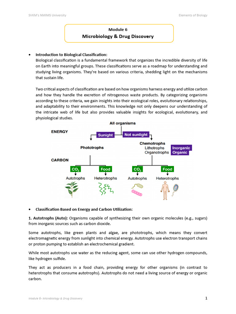 Module 6 - Microbiology and Drug Discovery | PDF | Model Organism ...