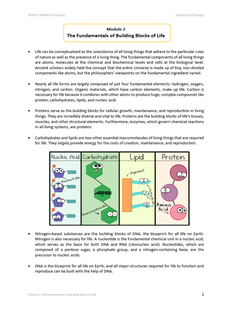 Building Blocks of Life: Biomolecules Overview | PDF | Rna | Carbohydrates