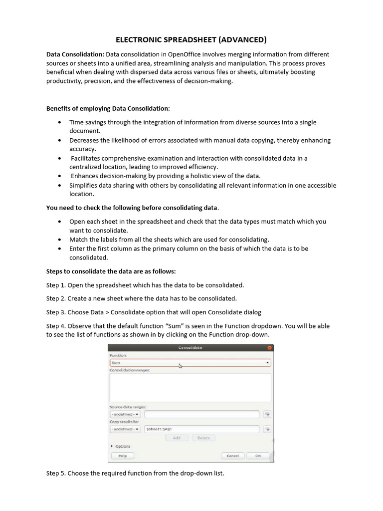 Electronic Spreadsheet (Advanced) | PDF