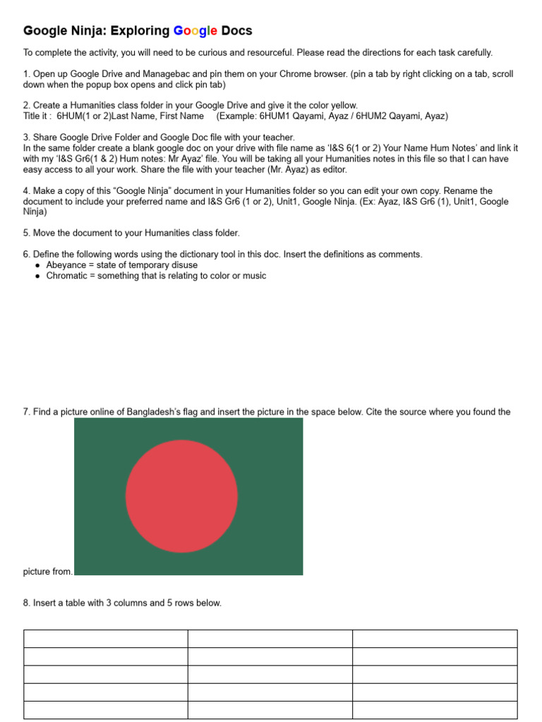 Mikhael I&S Gr6 Unit1 Google Ninja Handout | PDF