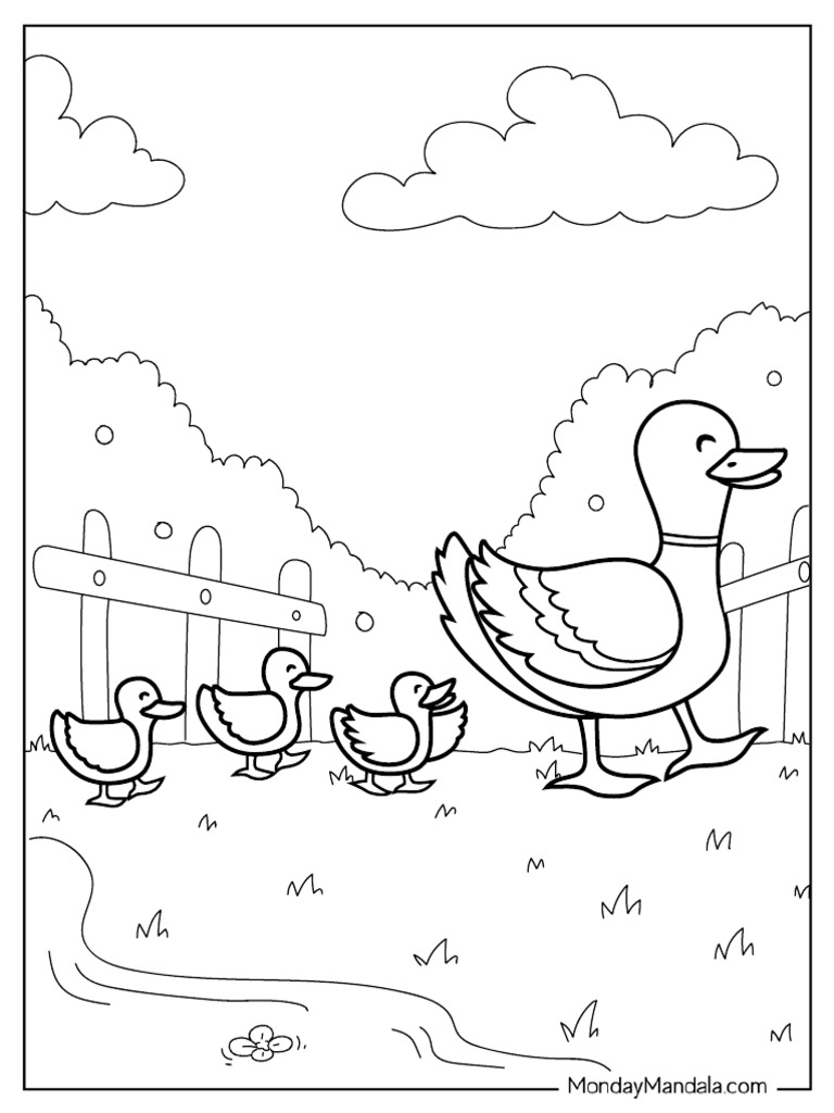 Mother Duck and Ducklings Walking On Farm | PDF