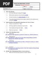 Practice Worksheet: Dodging Tables (2-12) | PDF | Technology & Engineering