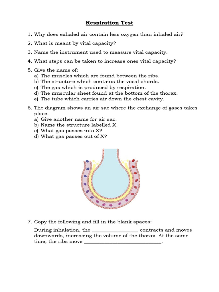 Respiration Test | PDF