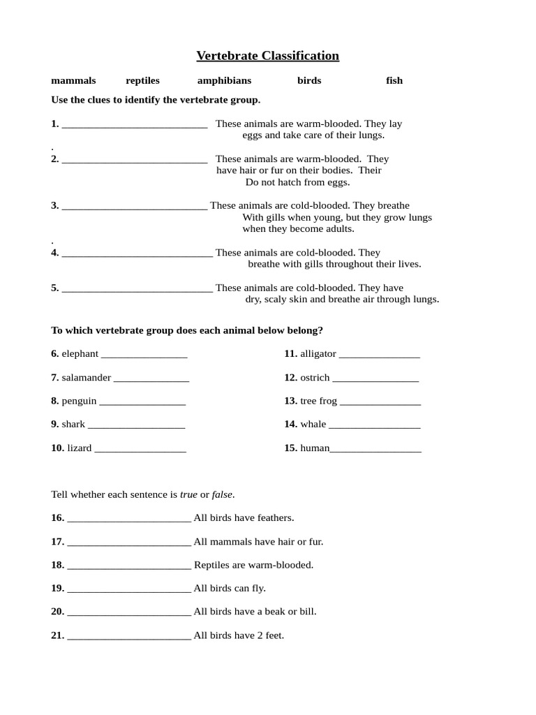 Vertebrates Worksheet | PDF