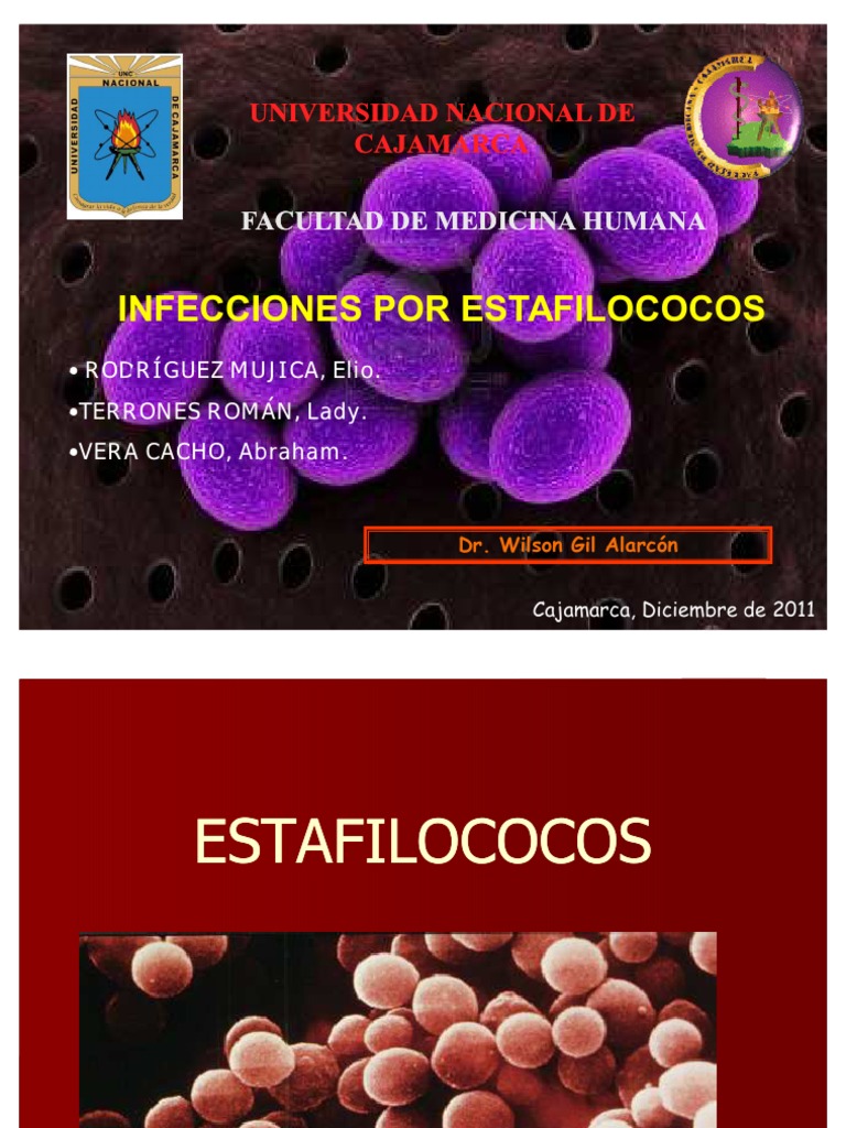 ESTAFILOCOCOS | PDF | Staphylococcus Aureus | Estafilococo