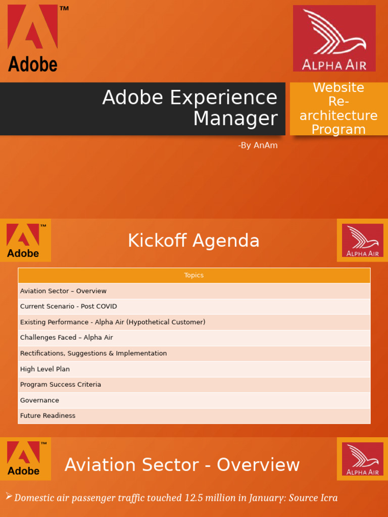 Airline Case Study - AnAM | PDF