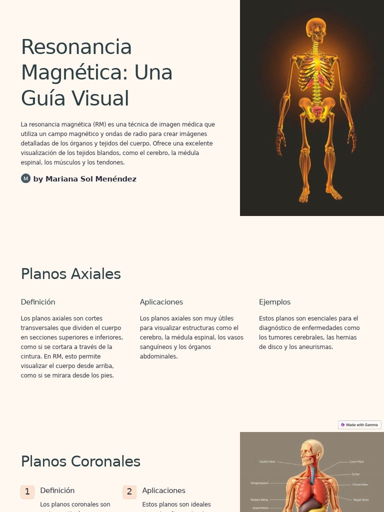 Resonancia Magnetica Una Guia Visual | PDF