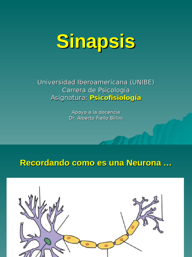 NF 6 - Sinapsis | PDF