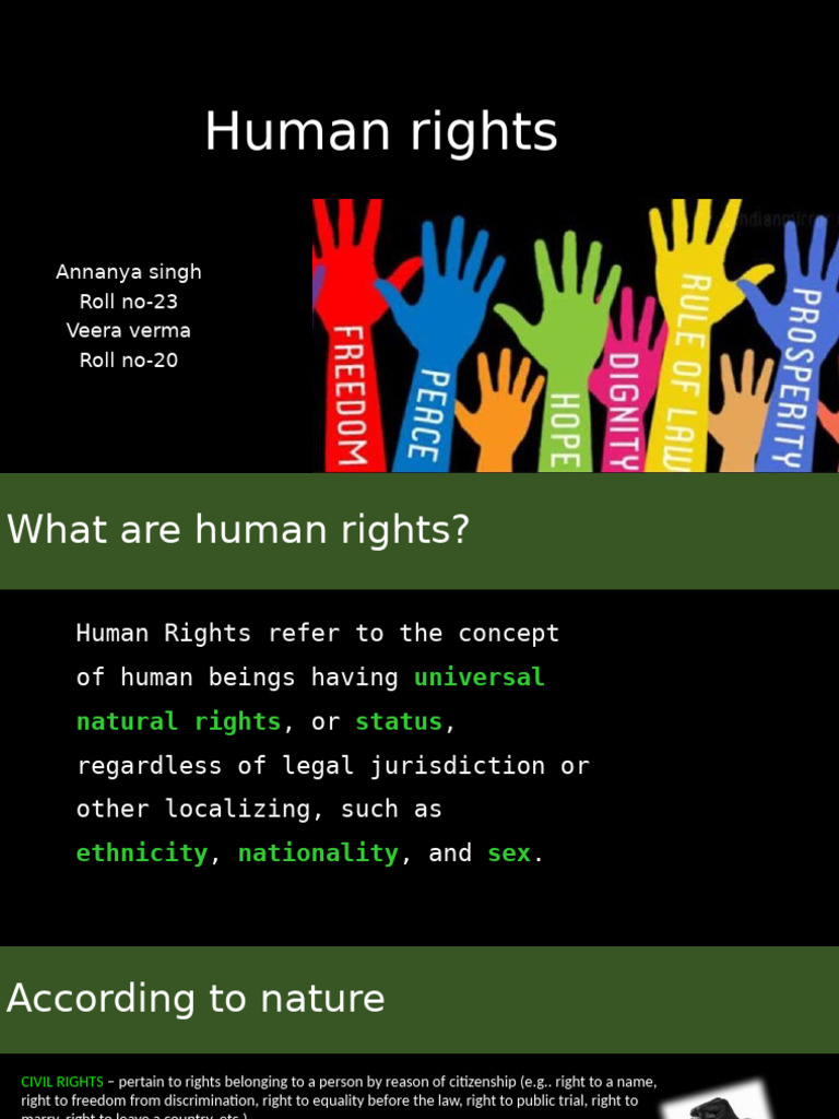 Human Rights | PDF