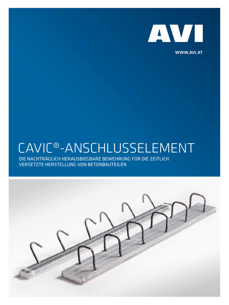 Broschuere CAVIC | PDF