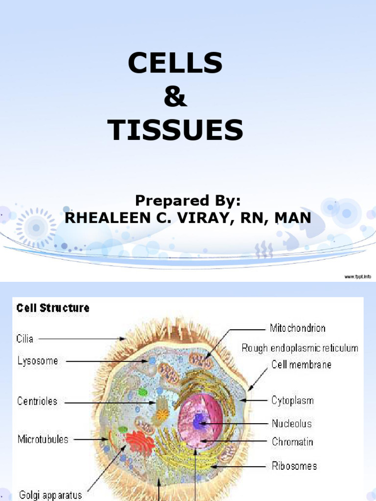 2 Cells Tissues Lec | PDF