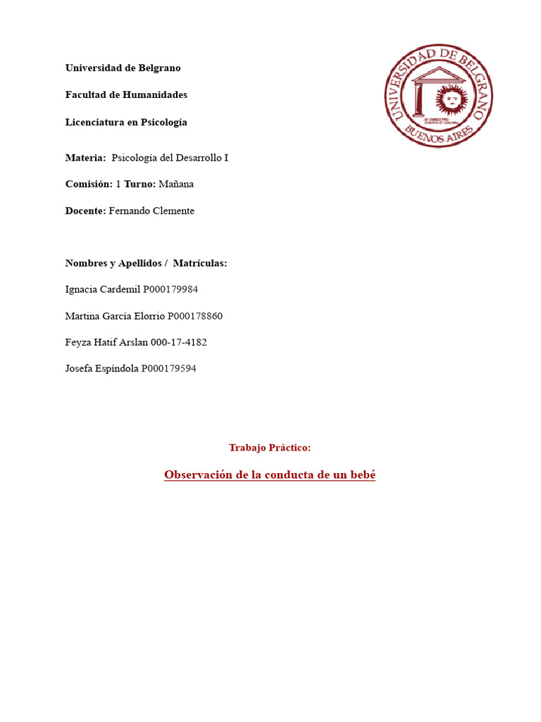 P. Desarrollo TP | PDF