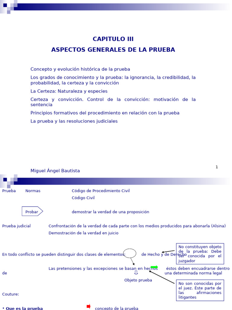 Capitulo III.aspectos Generales de La Prueba | PDF