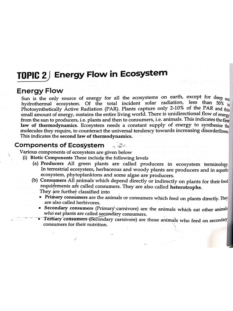 Energy Flow Notes | PDF